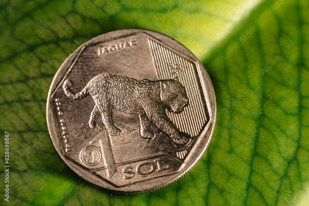foto macro del sol peruano , moneda con el diseño del jaguar u otorongo ...