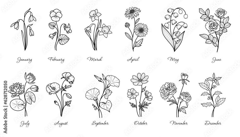 12 Birth Month Flowers Vector Line Art in the Minimal Style Drawing ...