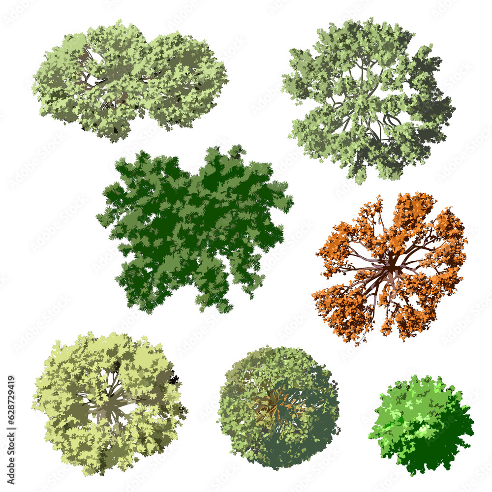 plan green tree isolated on white background, set of tree plan ...