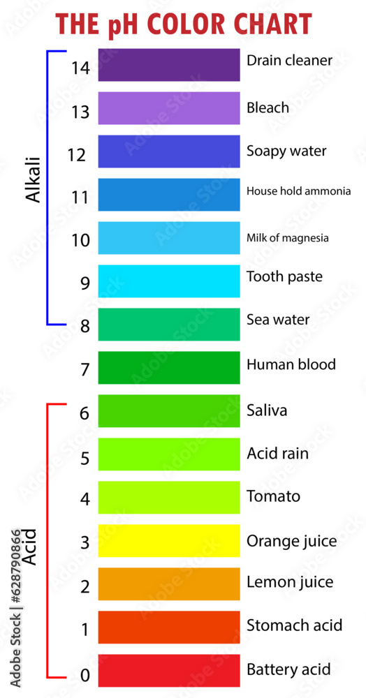 Diagram of the pH scale chart, acid and base Stock Vector | Adobe Stock