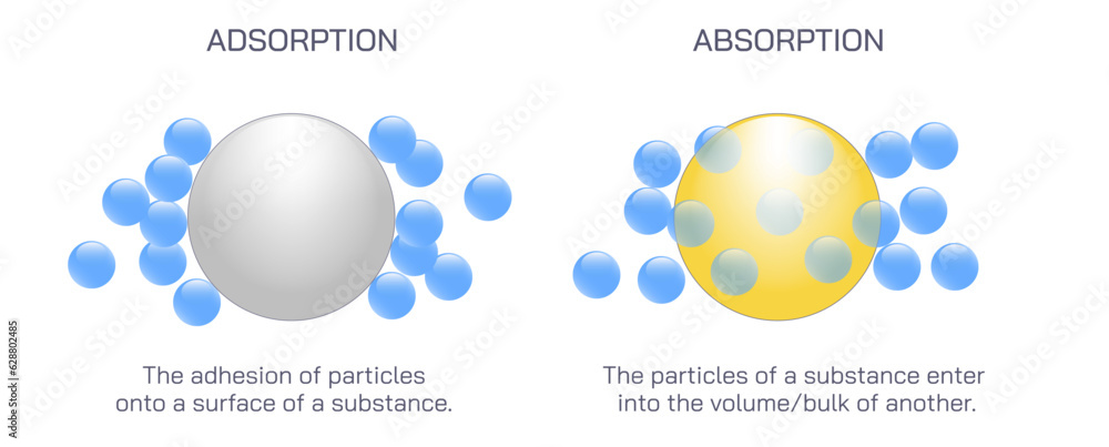 Difference between absorption and adsorption vector. Bio differences ...