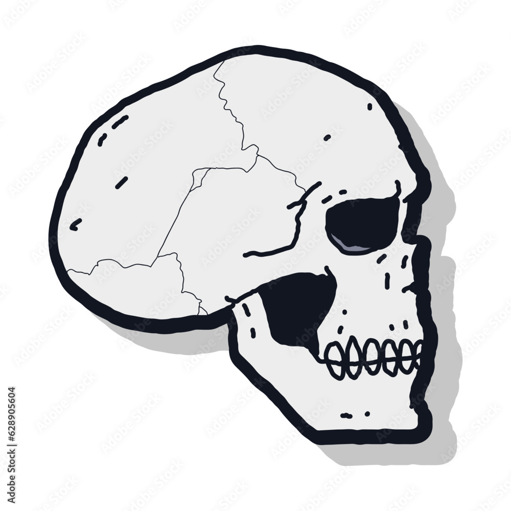 Human skull side view vector cartoon illustration isolated on a white ...