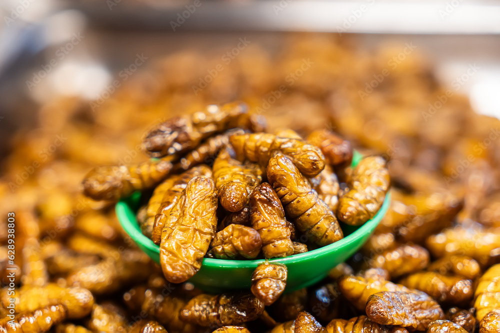 Strange food, weird food. deep fried insects, local street food in ...