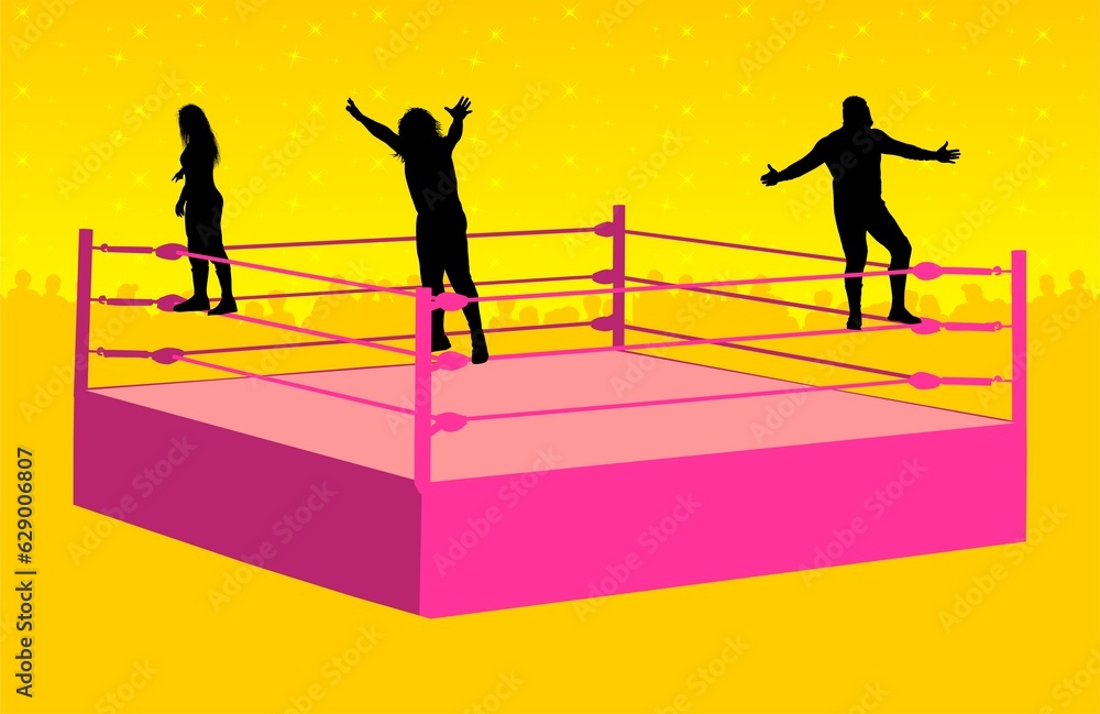 lucha libre, lucha, lucha libre mexicana, mexico, arena, coliseo, arena coliseo, gente, deporte ...