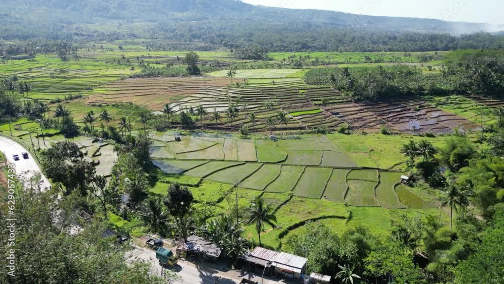 Rice Field Aerial Shot in Purwokerto, Indonesia. Beautiful 4K aerial ...
