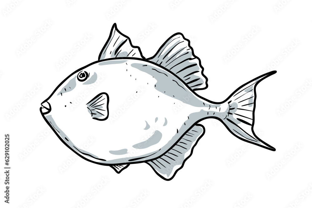 Vecteur Stock Cartoon style drawing sketch illustration of a Gray ...