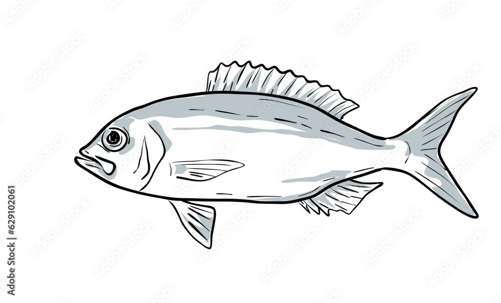 Cartoon style drawing sketch illustration of a wenchman or ...