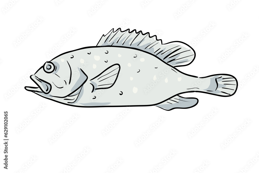 Cartoon style drawing sketch illustration of a yellowedge grouper or ...