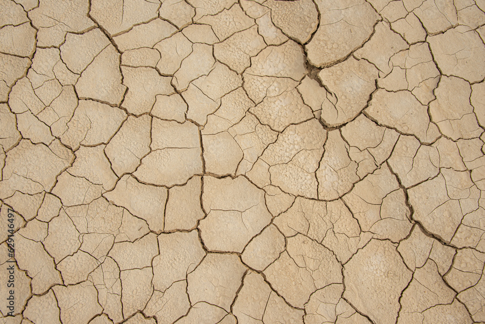 Photo & Art Print Cracked, parched land after a drought, Arid Ground ...