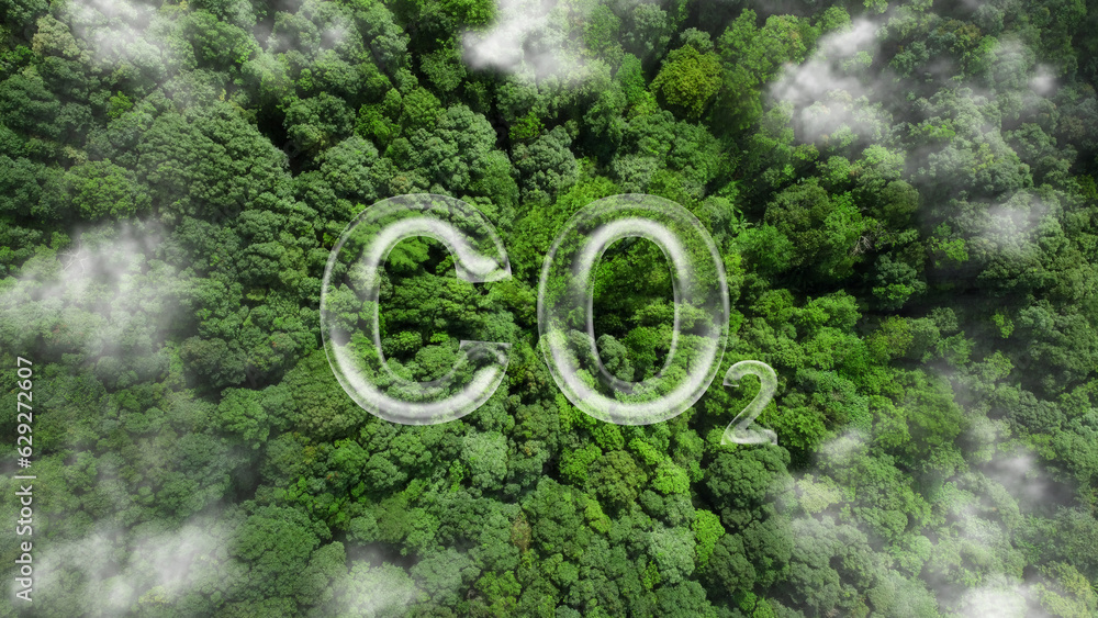 Reduce CO2 emissions to limit climate change and global warming. Co2 ...