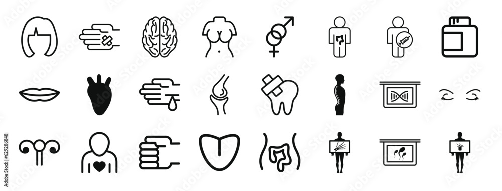 set of 24 outline web body parts icons such as blond female short hair ...