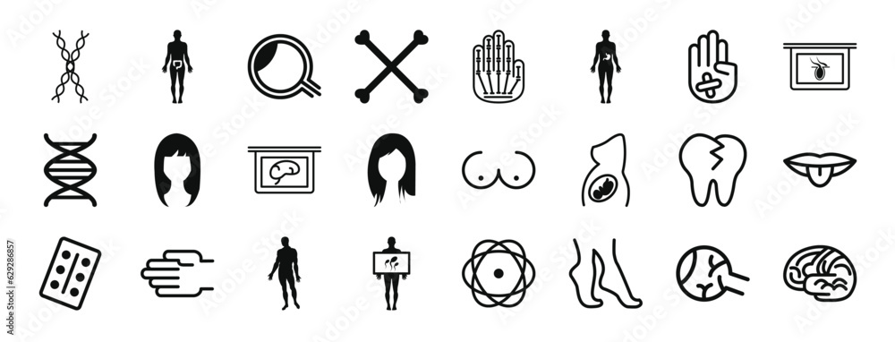 set of 24 outline web body parts icons such as dna strands, human body ...