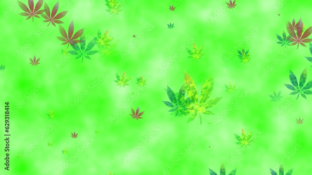 Rasta colored cannabis floating in a green screen background with smoke ...