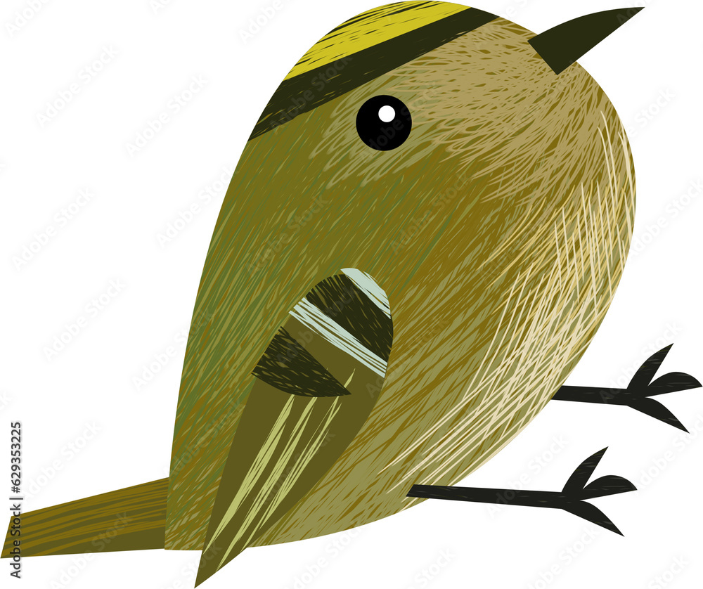 Cartoon beautiful colorful bird looking sitting isolated illustration ...