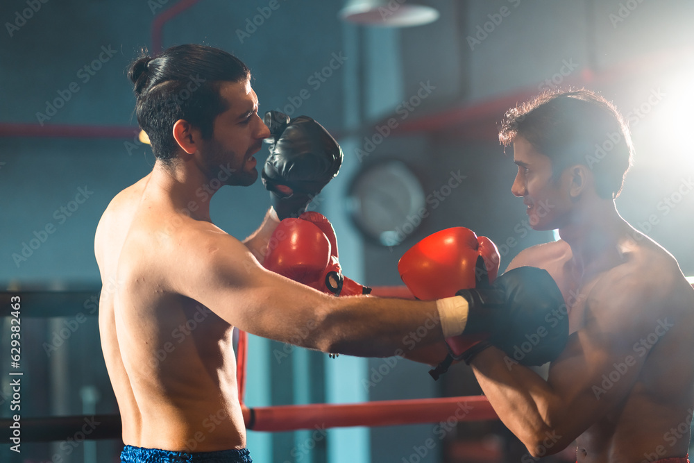 MMA or Thai Boxing match, Two professional fighters punching or boxing ...
