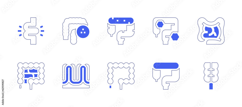 Intestine icon set. Duotone style line stroke and bold. Vector ...