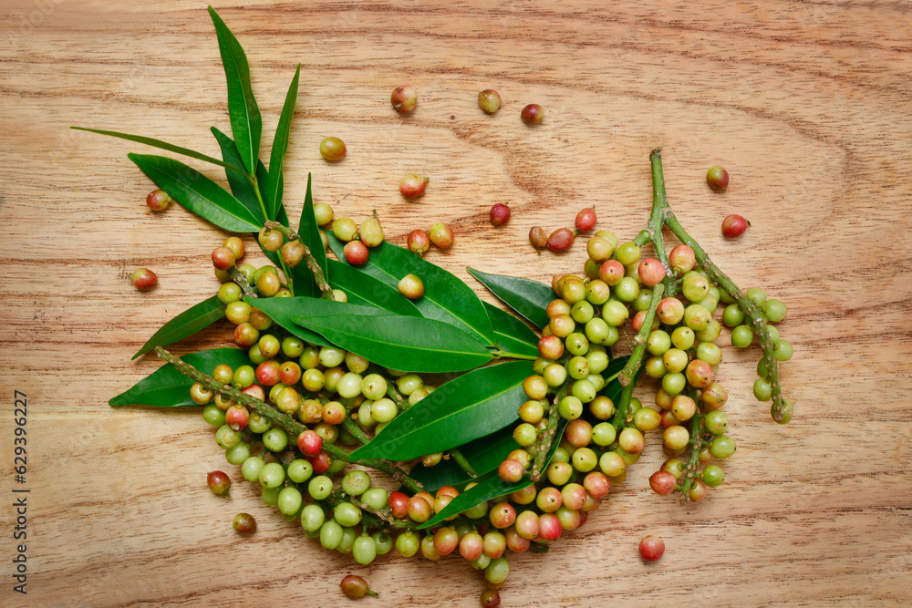 Buni fruit, Antidesma bunius, is useful for maintaining immunity and as ...