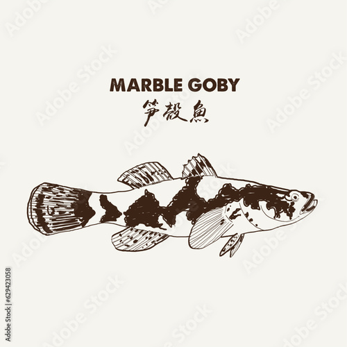 Marble Goby Fish