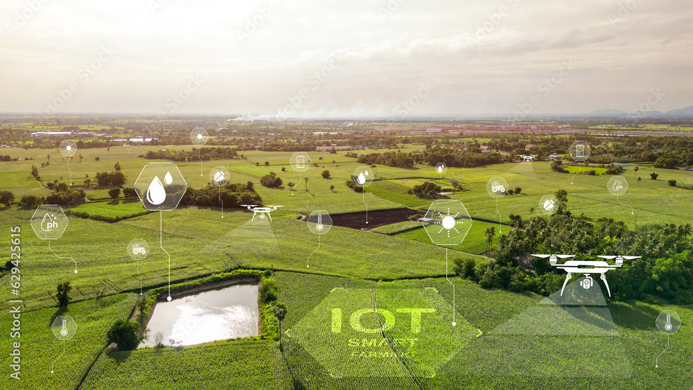 smart farm, iot Agriculture concept, farmer using augmented reality ...