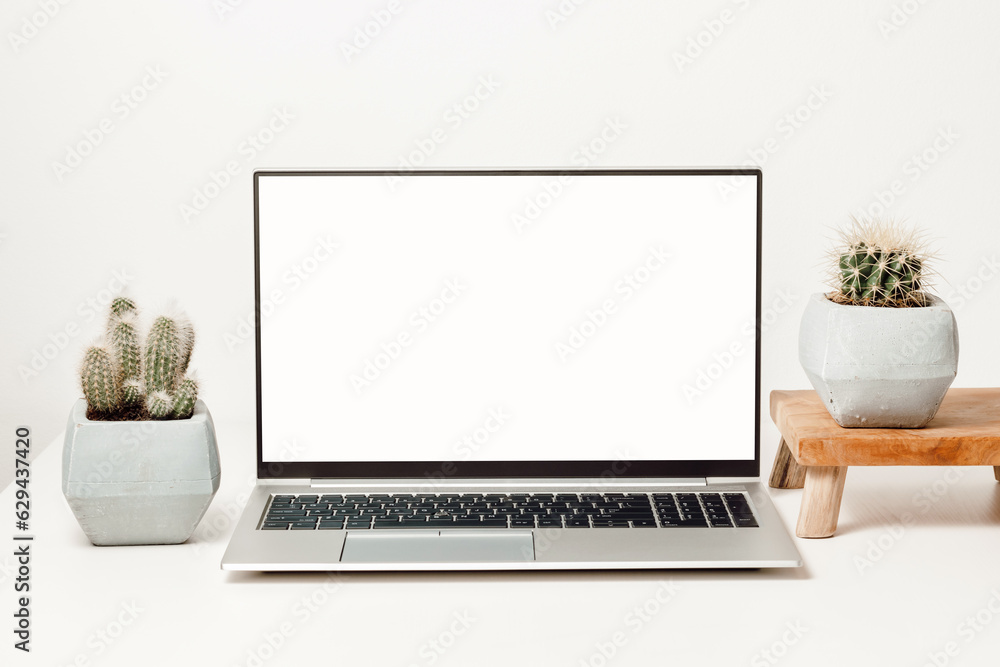 Laptop mockup with white screen and cactuses in pots on white table ... Laptop mockup with white screen and cactuses in pots on white table ...