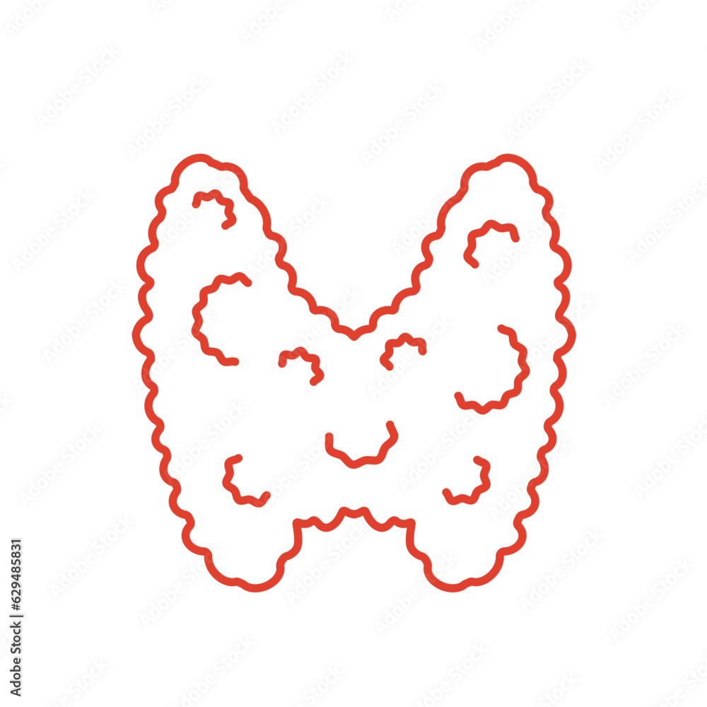 Thyroid gland lobes icon. Thyroid hormones function test. Endocrine ...