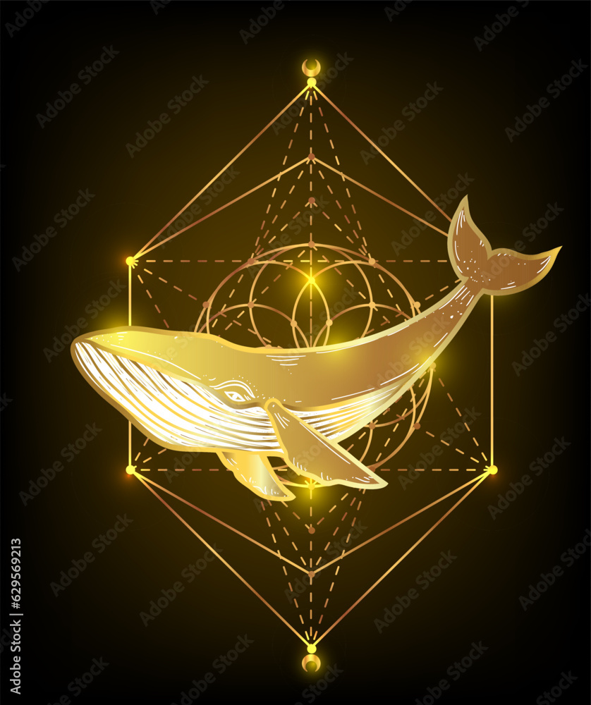 Whale hand drawn Vector illustration. Spiritual, Sacred geometry ...