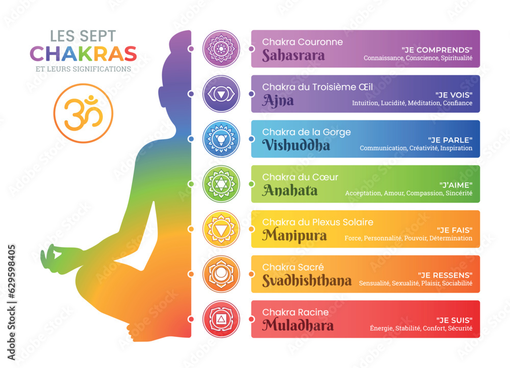 Les Sept Chakras et leurs significations Stock Vector | Adobe Stock