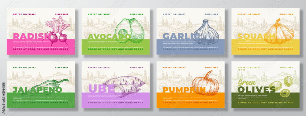 Vegetables Food Label Templates Set. Abstract Vector Packaging Design ...