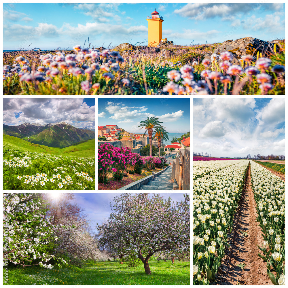 Spring collage. Set of beautiful spring landscapes arranged in a square ...