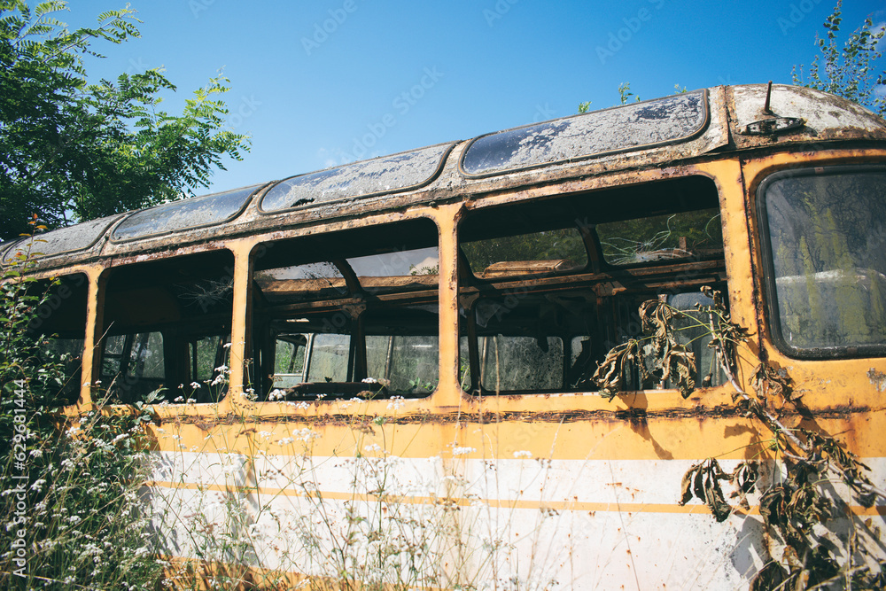 old, abandoned buses in the bushes. broken buses graveyard of old buses ...