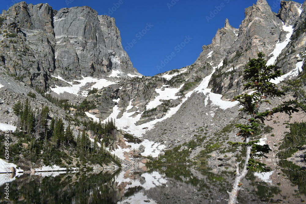 nymph dream emerald lake rocky mountain national park Stock Photo ...