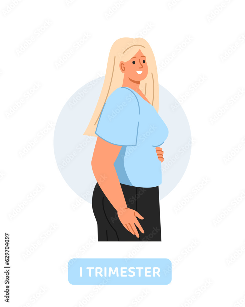 Woman in pregnancy stage concept. Young girl with small belly ...