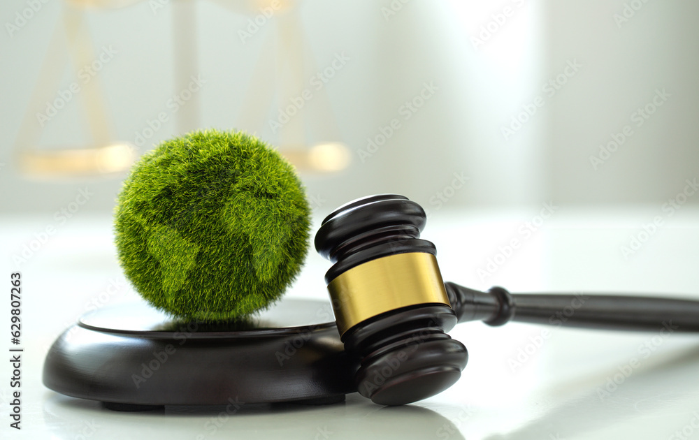 International Law and Environment Law. Green World and gavel with scales of justice. law for ...