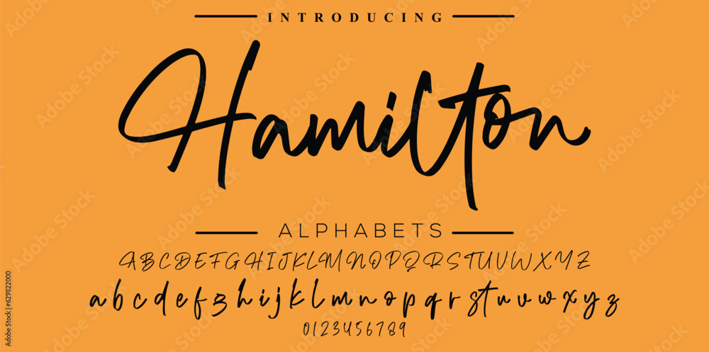 Hand drawn vector alphabet. Script font. Isolated letters written with ...