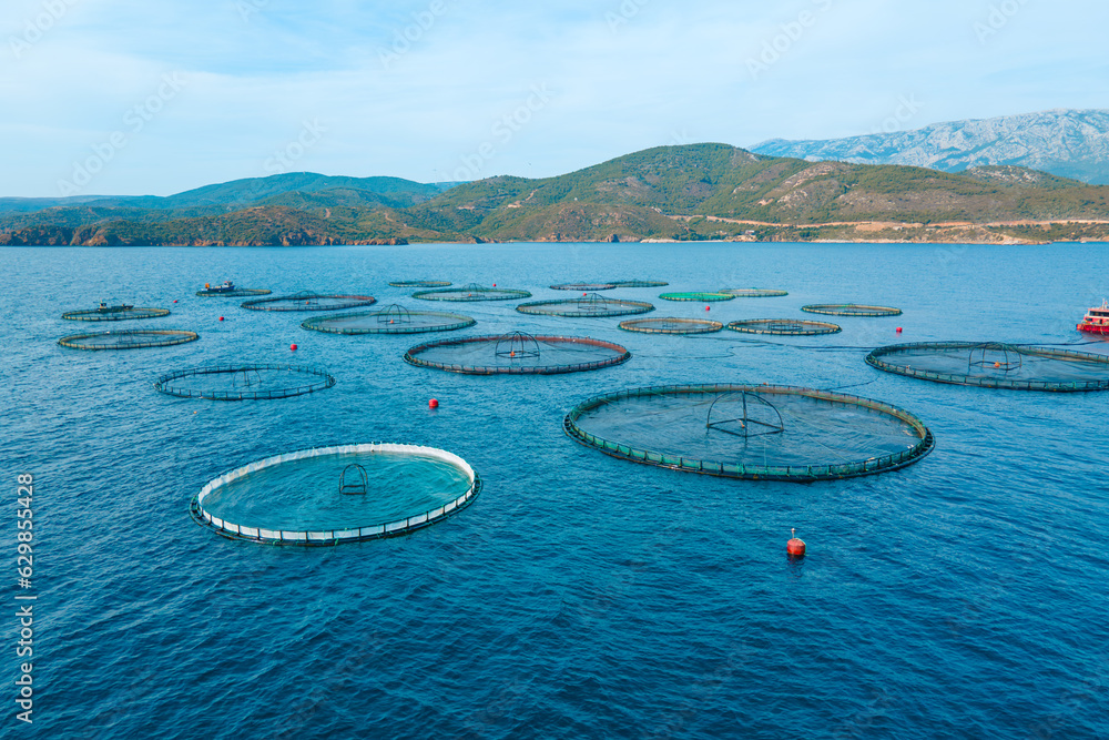 Offshore aquaculture in floating fish farming cages of fish farm in ...
