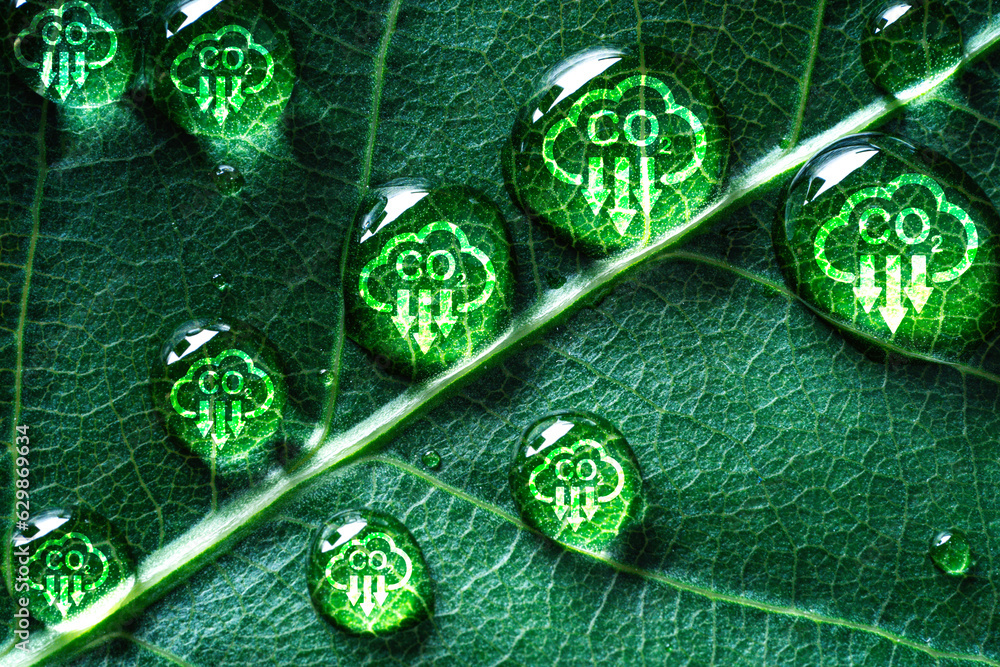 Carbon reduction inside water droplet on green leaf for for decrease ...