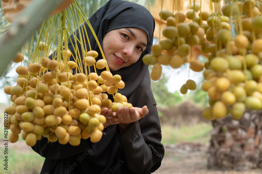 Muslim woman in black hijab with Date palm, Muslim woman is happy to ...