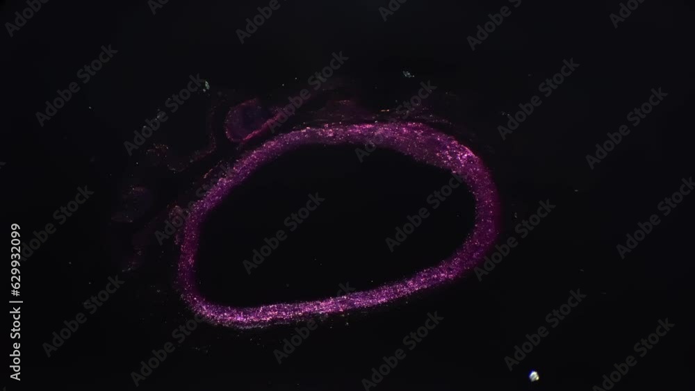 Contrast footage of vein in section under scientific microscope 40x ...