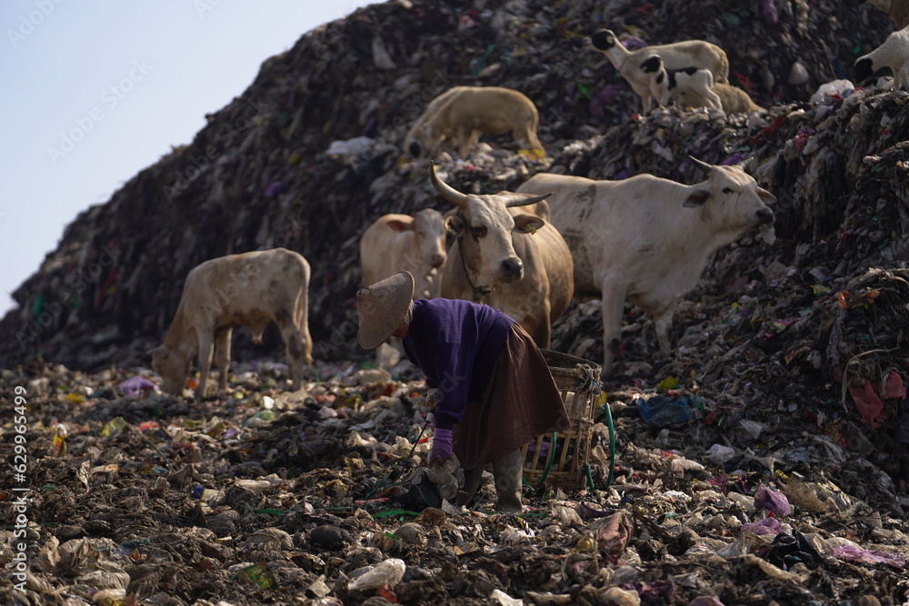 Huge mountains of garbage piled up in the Piyungan landfill, scavengers ...