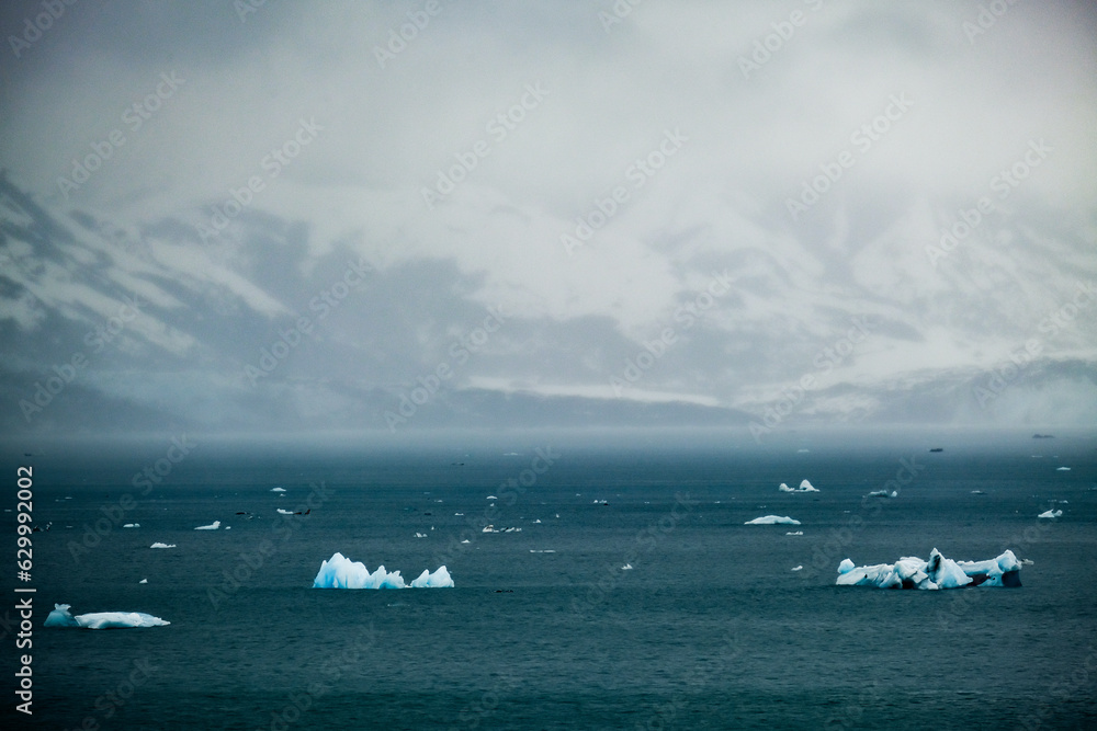 Cruise to Hubbard Glacier Bay in Alaska with floating ice bergs and ...