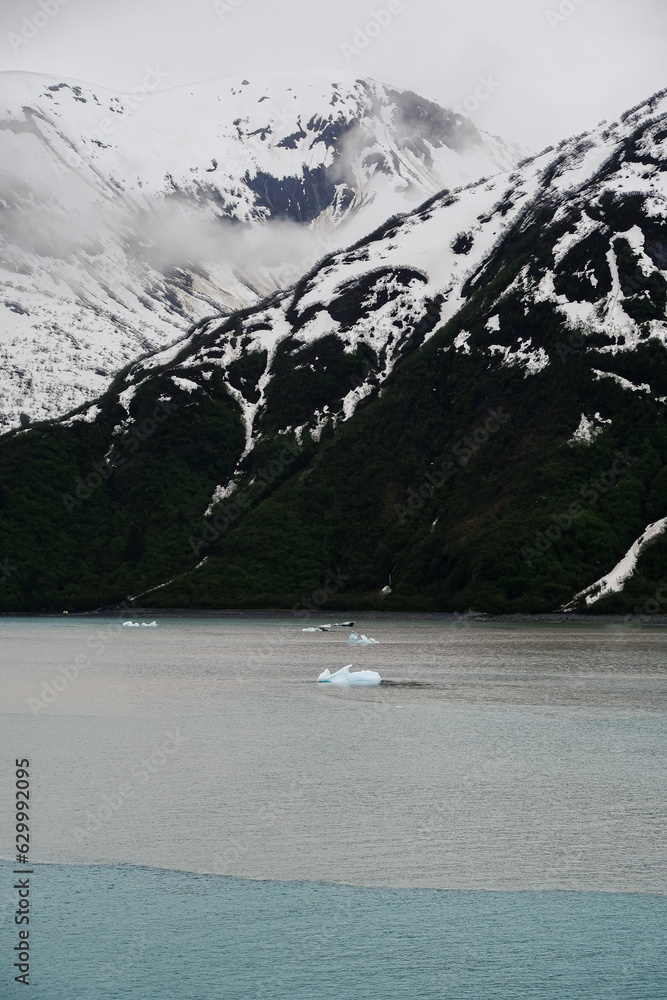 Cruise to Hubbard Glacier Bay in Alaska with floating ice bergs and ...