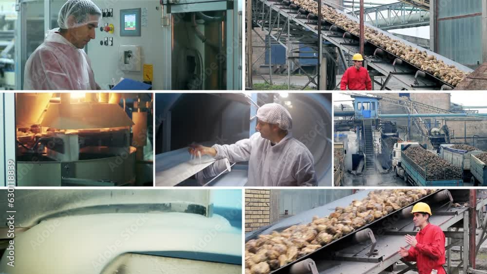 Sugar Production - Conceptual Multi Screen. Quality Control Inspector ...
