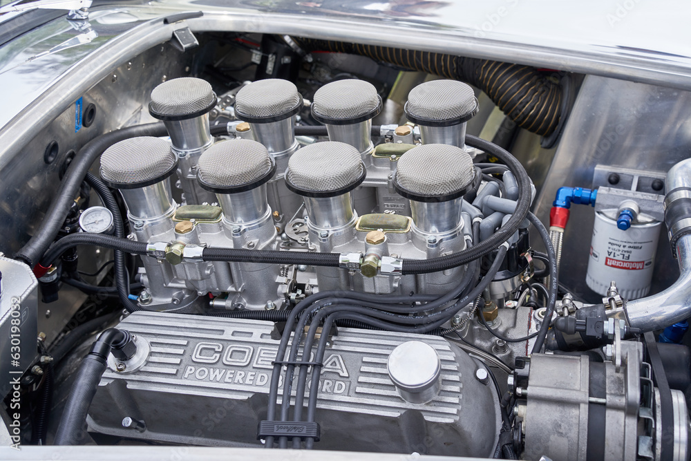 Ford Shelby Cobra engine bay with the raised heads of the eight ...
