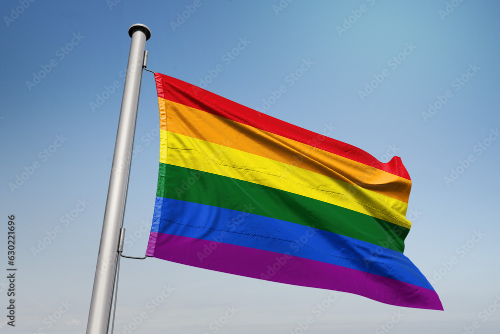 The rainbow flag or pride flag is a symbol of LGBT pride and LGBT social movements. The colors ...