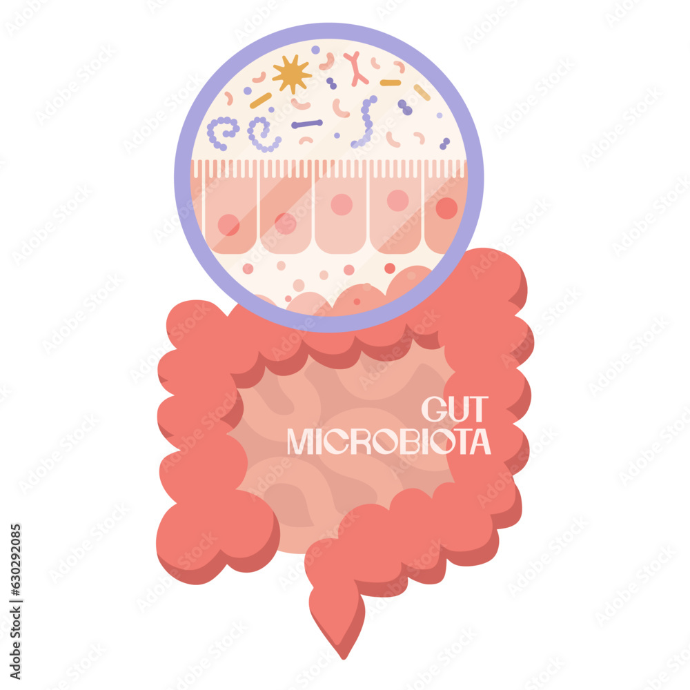 Epithelium of gits. Human microbiome and intestine anatomical clipart ...