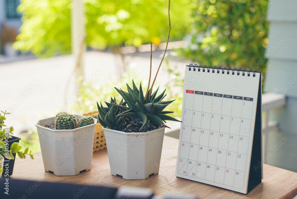 2024 Calendar desk place on business table. Desktop Calender and cactus ...