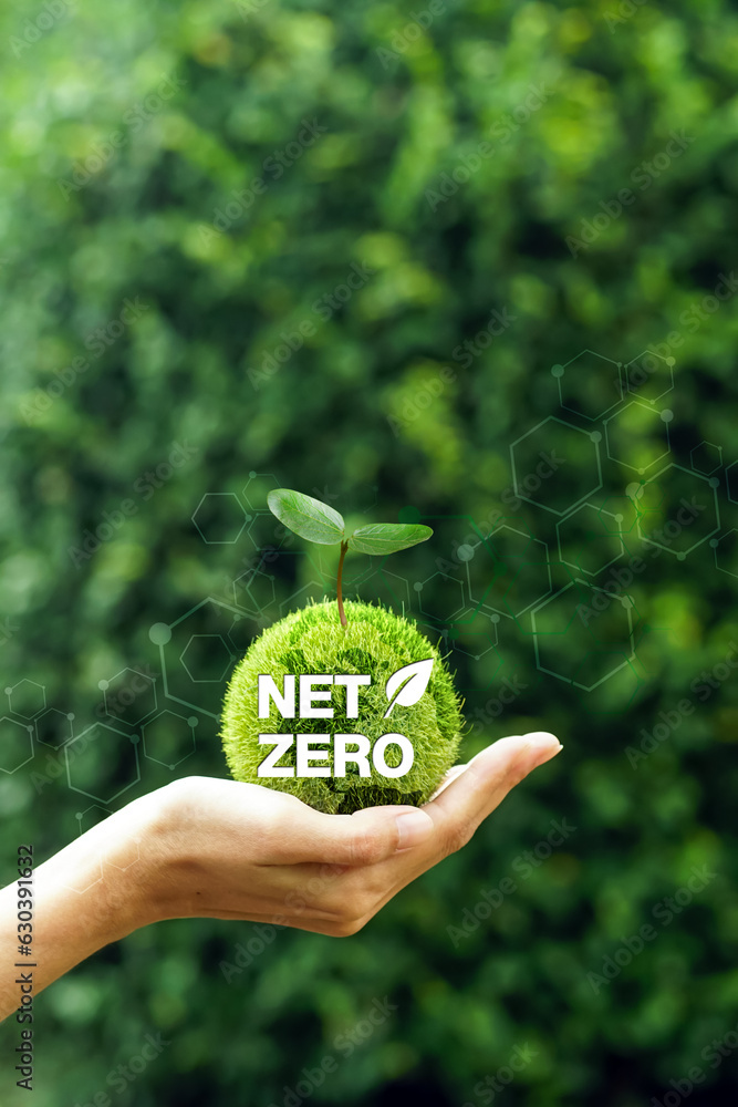 Green earth planet with tree at the top in hands with Net zero icon ...