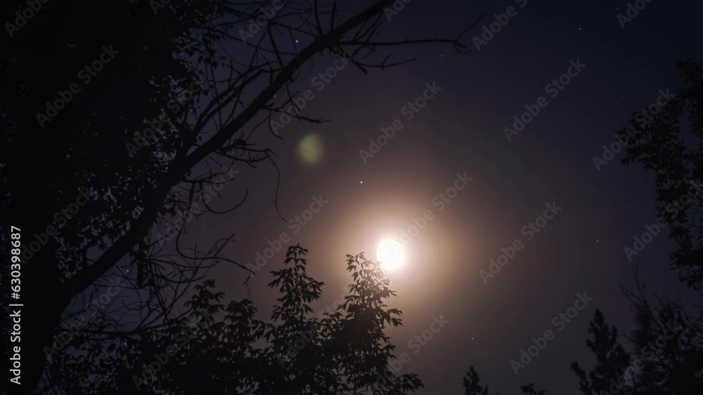 Timelapse of a full moon in the night sky moves through silhouette ...