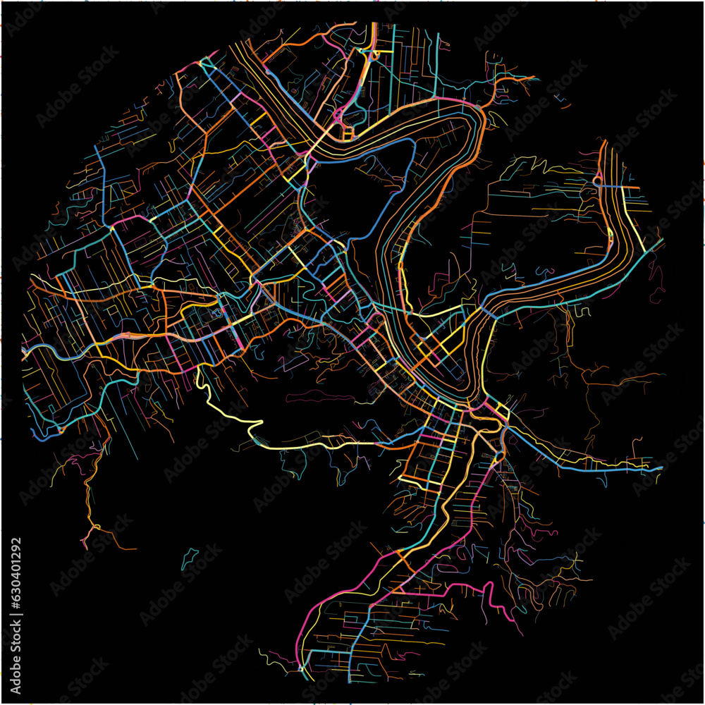 Colorful Map of Blumenau with all major and minor roads. vector de ...