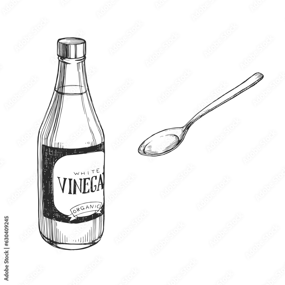 Vector hand-drawn illustration of bottle of vinegar and spoon isolated ...